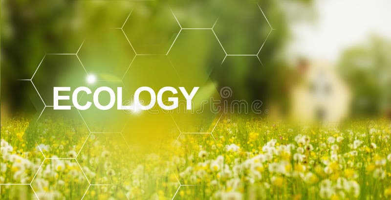 Ecosystem safe environment stock image. Image of green - 269934573