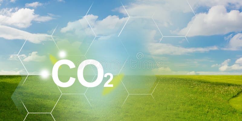 Clean Plants on Field and Bright Sunlight To the Good Ecological Future ...