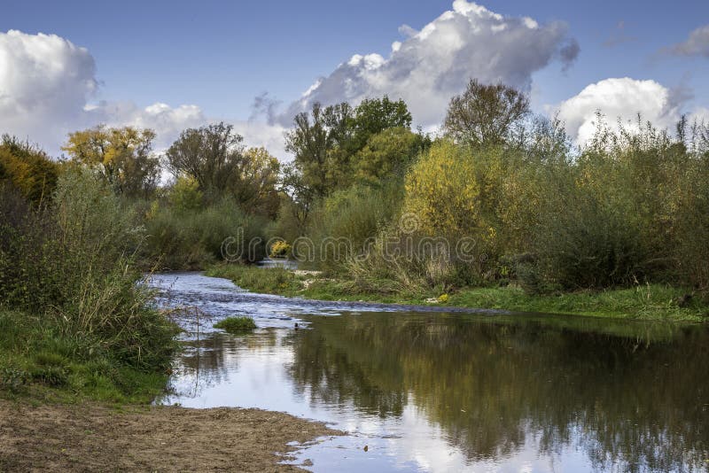 Clean River in the Middle of the Countryside Stock Image - Image of ...