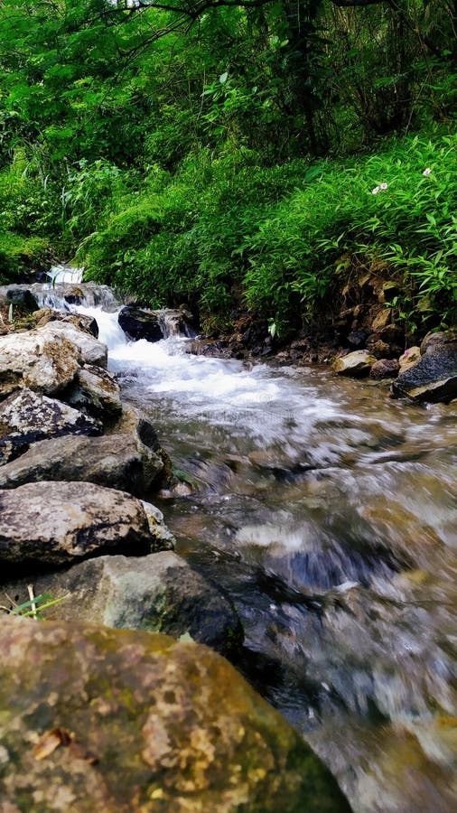 The Clean River from Mountain with a Green Forest Stock Image - Image ...