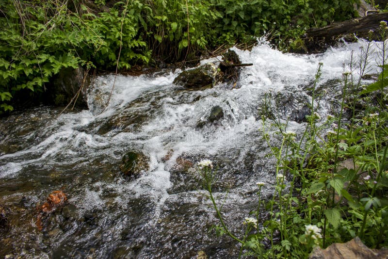 A Clean River in the Mountains Stock Photo - Image of small, autumn ...