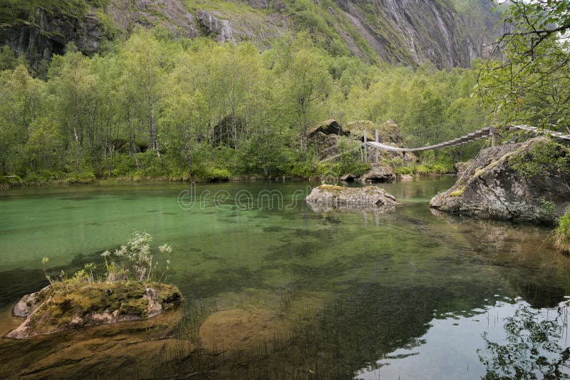 Clean river in Rago NP stock image. Image of clear, tree - 303752377