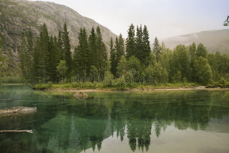 Clean river in Rago NP stock photo. Image of water, landscape - 303752662