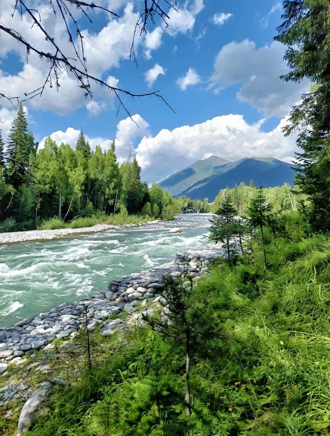 Clean River Water Flowing in the Mountains Stock Photo - Image of stone ...