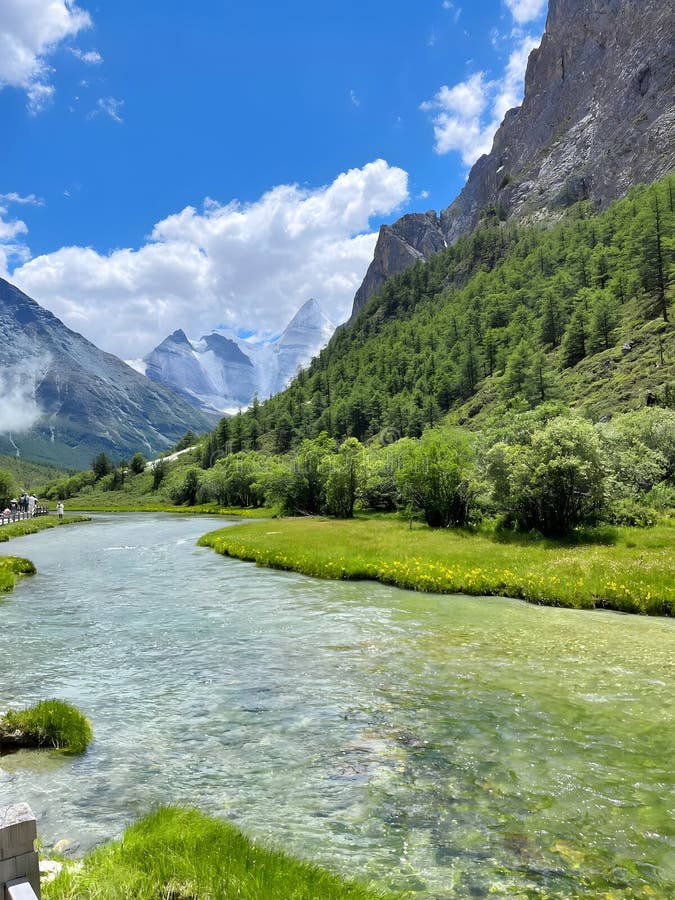 Clean River Water Flowing in the Mountains Stock Photo - Image of hill ...