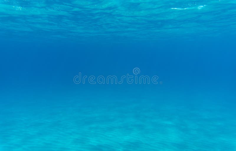 Clean seabed with sand stock image. Image of caribbean - 282398027