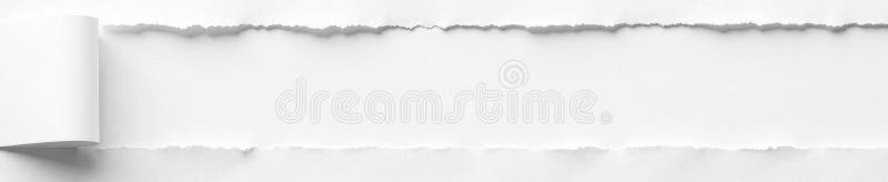 Clean, Sharp Tear in White Paper; Bright White Backdrop, White ...