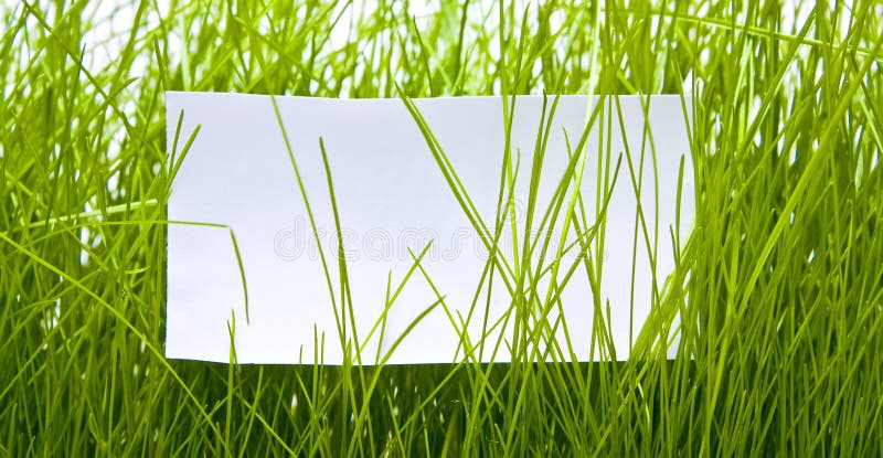 Clean Sheet Of Notebook Close Up, Place For Text, School Notebook ...