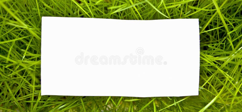 Clean Sheet of Notebook Close Up, Ballpoint Pens Close Up Lie on a ...