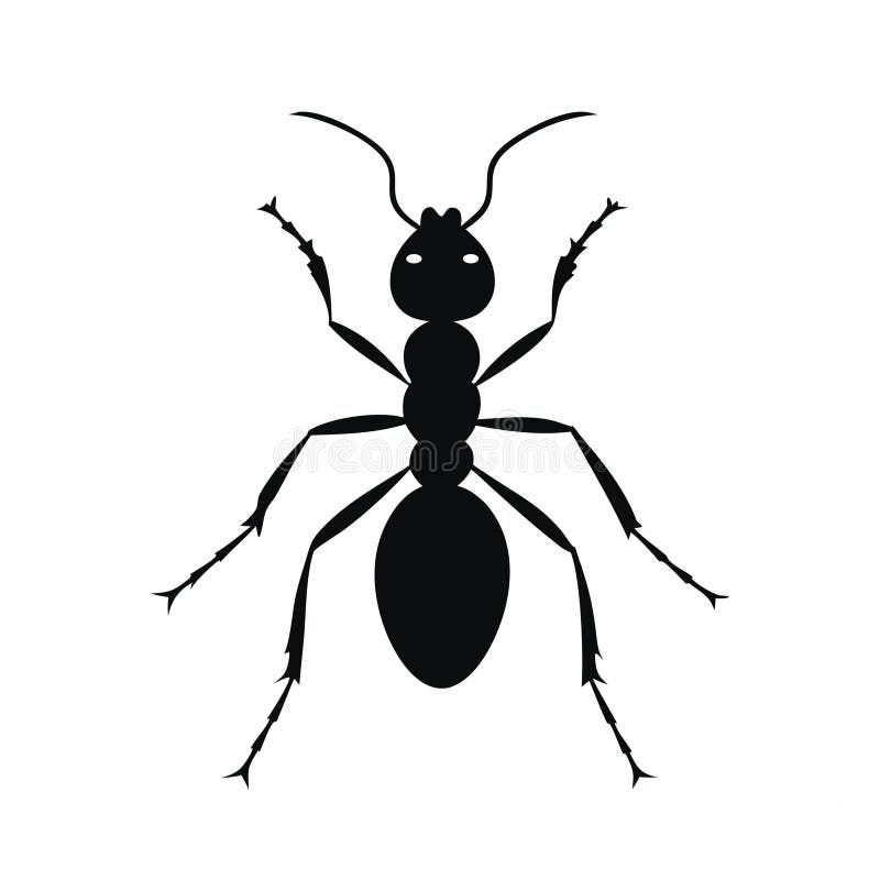 Clean and Simple Ant Silhouette Vector for Custom Illustrations Stock ...