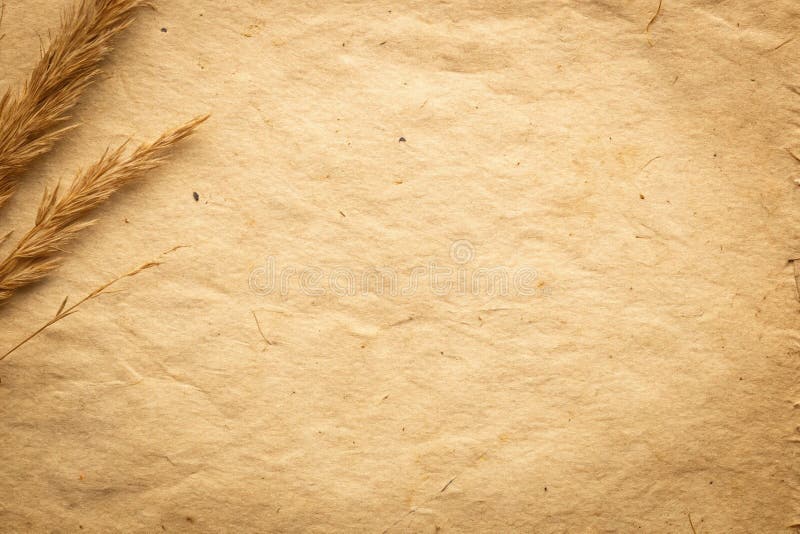 Simple Paper Texture Background Stock Illustration - Illustration of ...