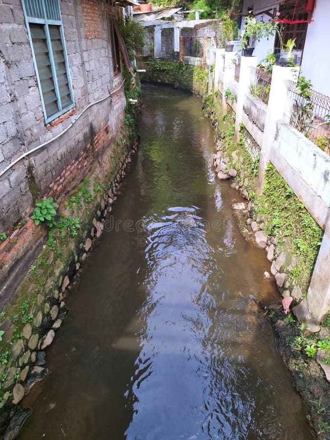 Clean Small River on Residence Stock Image - Image of river, nice ...