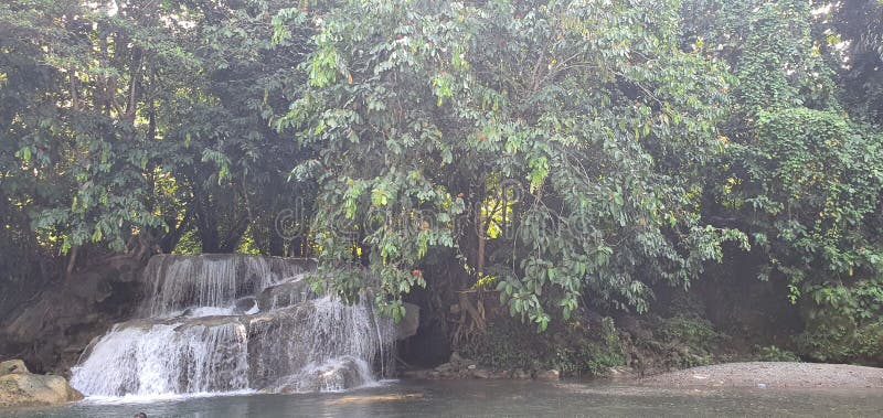 Clean Small Waterfall in the Middle of Forest Stock Photo - Image of ...