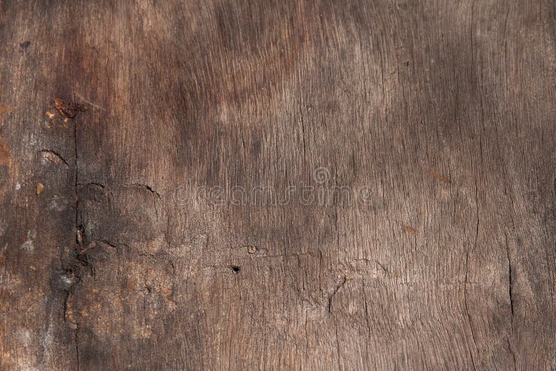 Clean and Smooth Texture of Tree Stock Photo - Image of material, panel ...