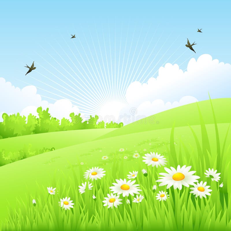 Astonishing Spring Vector Photographs