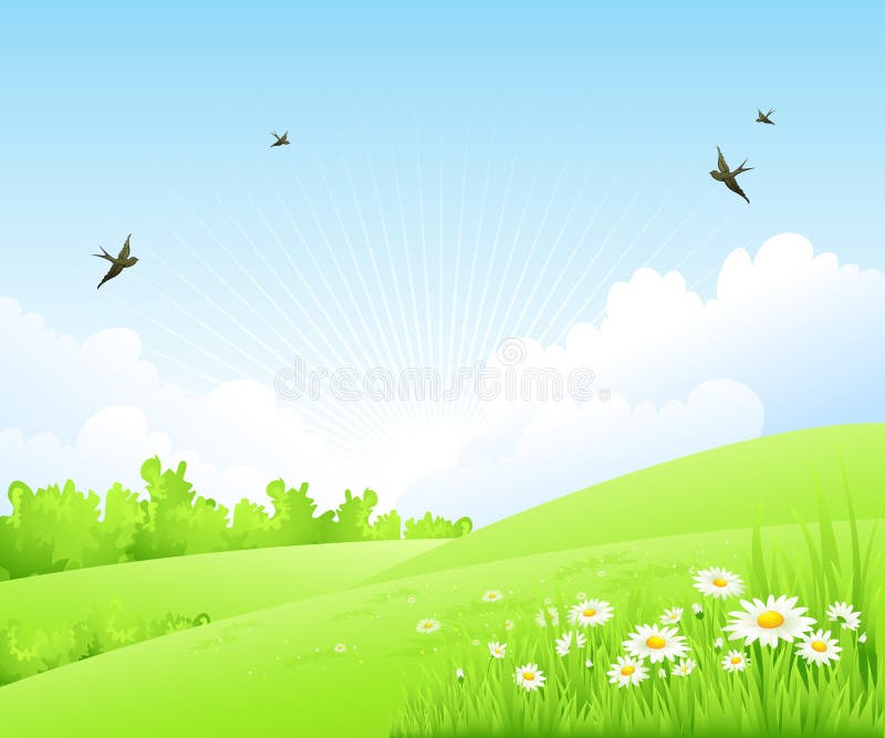 Clean Spring Amazing Scenery. Vector Illustration Stock Vector ...