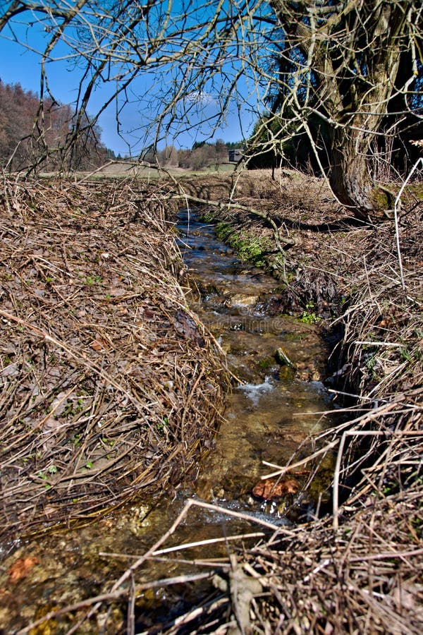 Clean spring water stream stock photo. Image of green - 146042266
