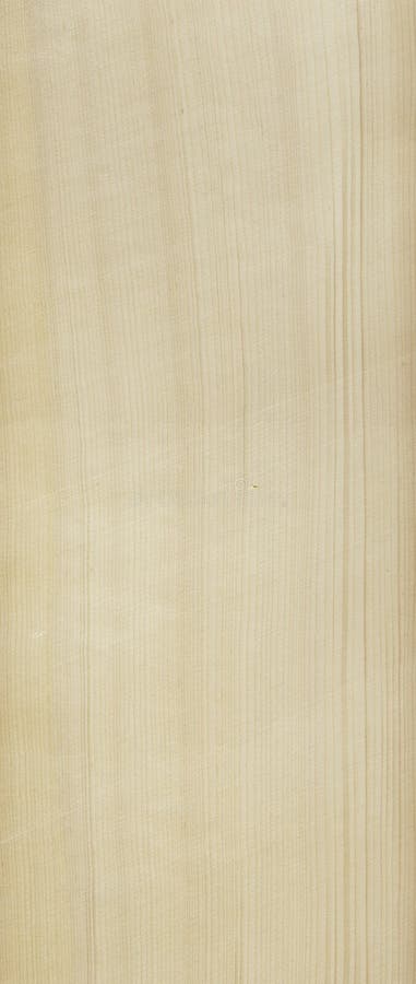 Clean spruce wood pattern stock photo. Image of veneer - 22605928