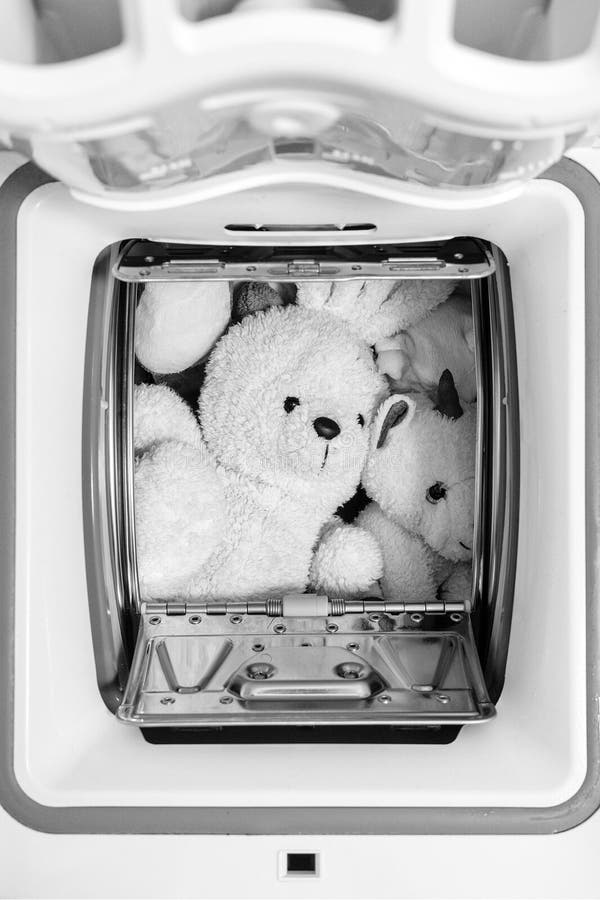 Clean Stuffed Animals in the Washing Machine Stock Image - Image of ...