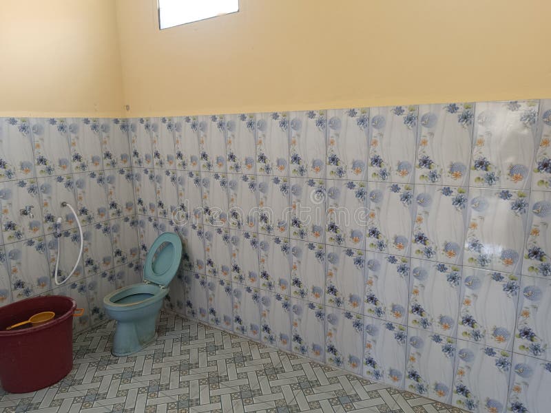 Clean Toilet, Hotel Toilet, Blue Floral Patterned Wall Stock Image ...