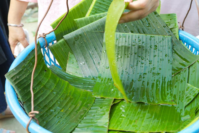 Clean, Traditional, Environmentally Friendly, Packaging Material ...