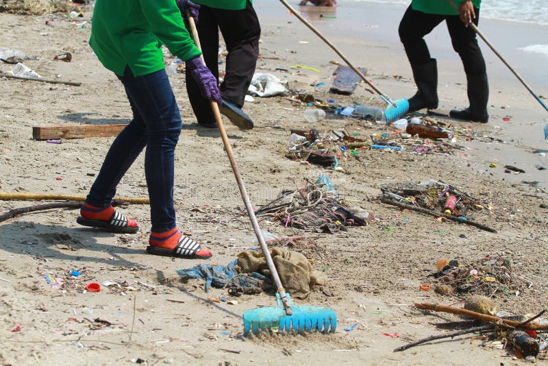 Volunteers Use The Rake To Sweep The Trash Out Of The Sea. Beach ...