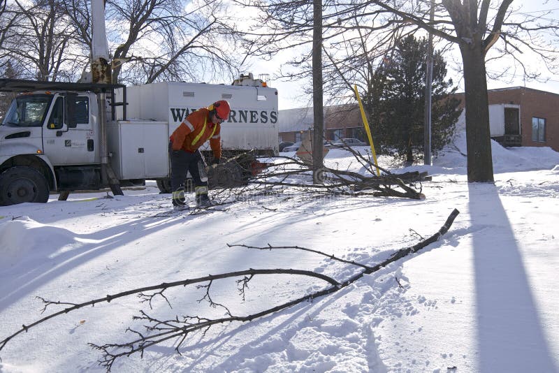 Clean Up of the Fallen Tree Branches after the Winter Storm Editorial ...