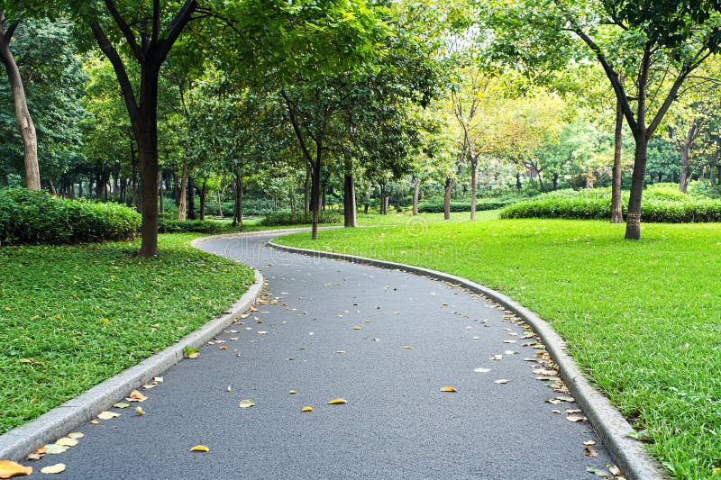 A Clean Urban Park Path with a Single Leaf Resting on the Pavement ...