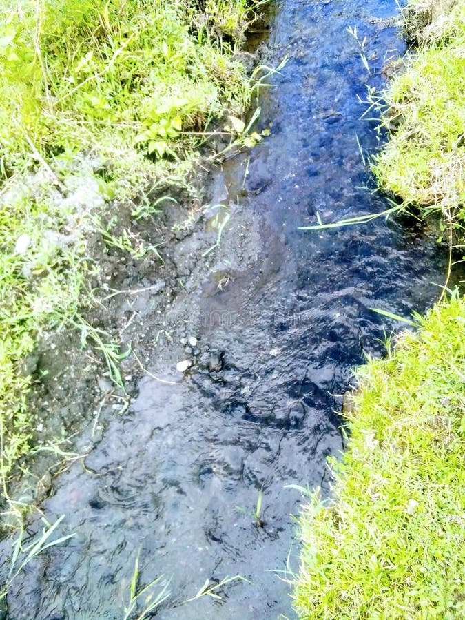 Clean Water in the Farm stock photo. Image of water - 280582498