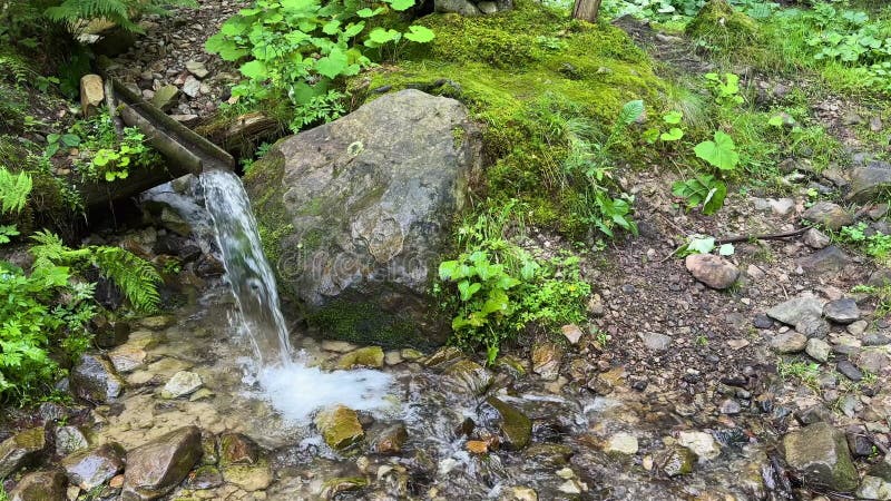Clean Water in a Mountain Spring Stock Video - Video of fresh, healthy ...