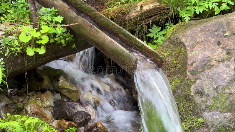 Clean Water in a Mountain Spring Close-up Stock Video - Video of cold ...