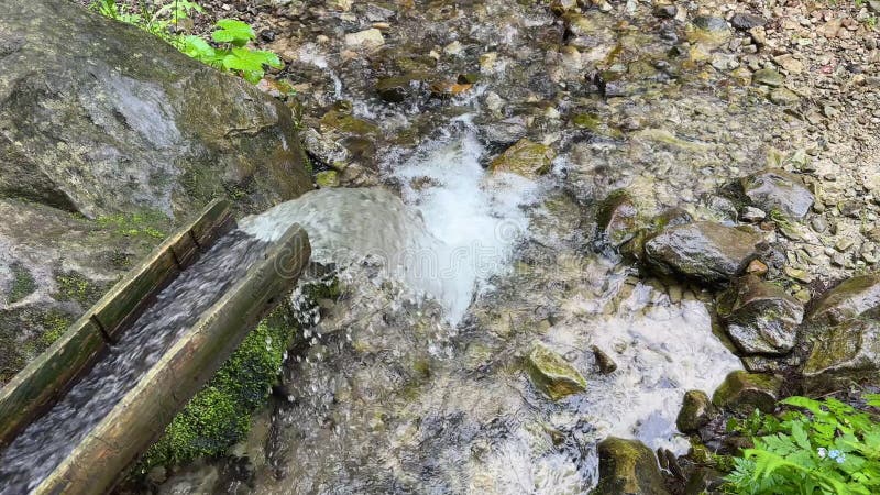 Clean Water in a Mountain Spring Close-up Top View Stock Footage ...