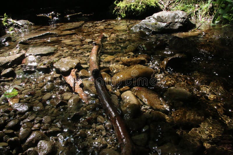 Clean Water in a Mountain Stream Stock Image - Image of natural, fresh ...