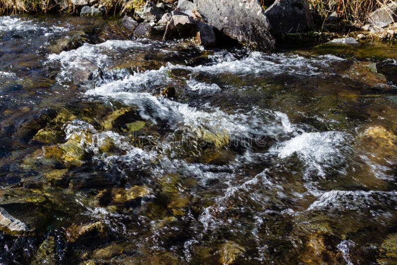 Clean Water in a Mountain Stream Stock Photo - Image of stone ...