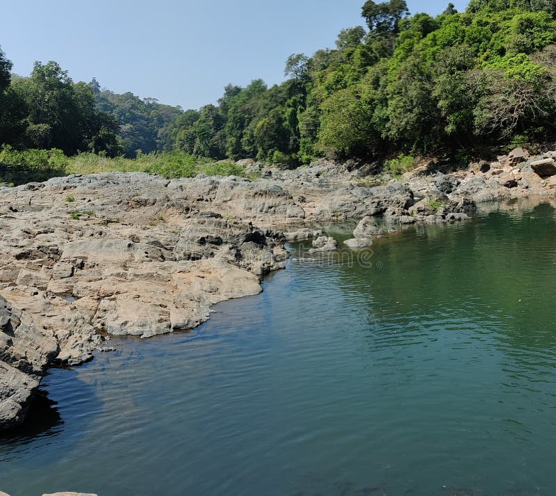 Clean Water River in Forest Stock Image - Image of stream, water: 225880789