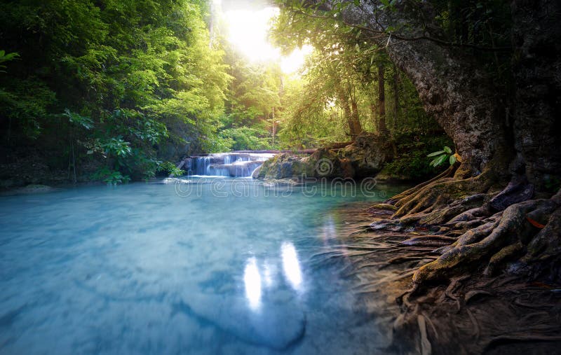 Clean Water River Stream Flows through Lush Forest. Beautiful Su Stock ...