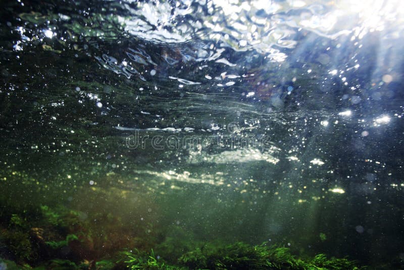 514 Underwater Scenery Clean River Water Stock Photos - Free & Royalty ...