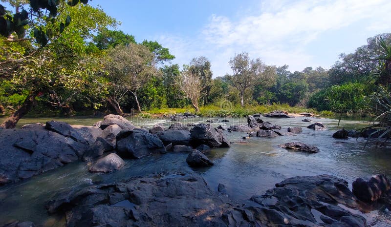 Clean Water and Rocks in a Nature Park Stock Image - Image of rural ...