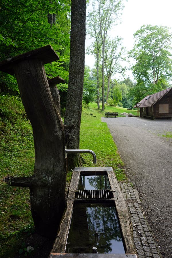 Clean water stock image. Image of farm, drinking, purity - 65013421