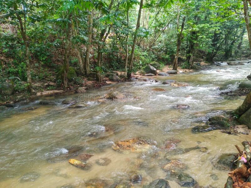 Clean Water and Transparent River Stock Photo - Image of clean, river ...