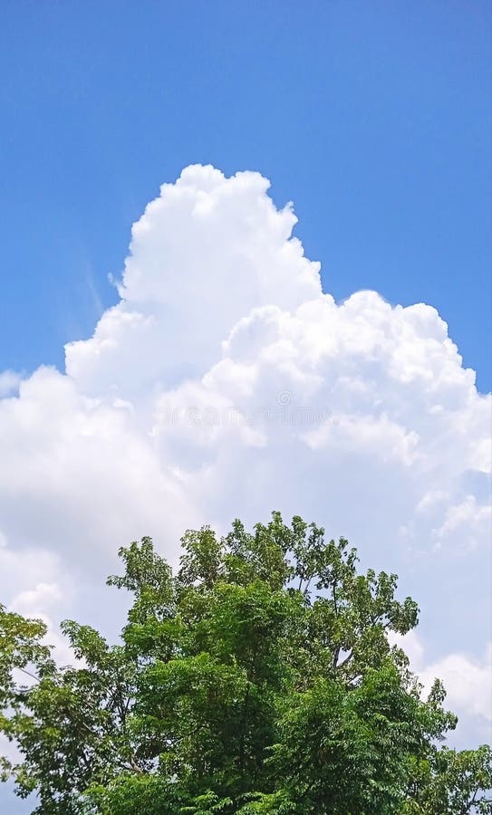 Clean weather during 19 stock photo. Image of arbil - 178615992