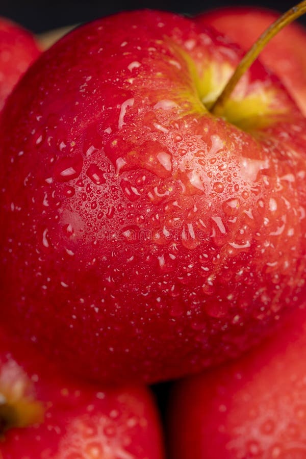 Clean Wet Red Apples , Close-up Stock Image - Image of clipping ...