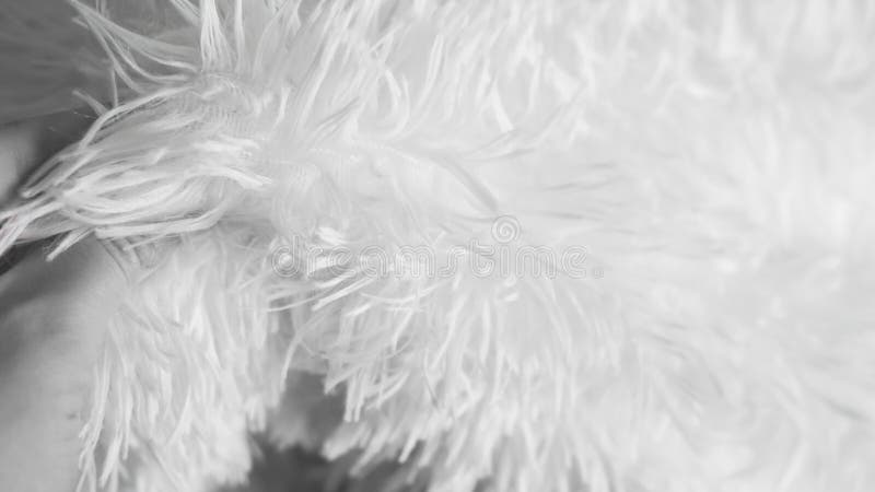 Clean White Bedsheets and Folded Blanket on Solid Background, Home ...