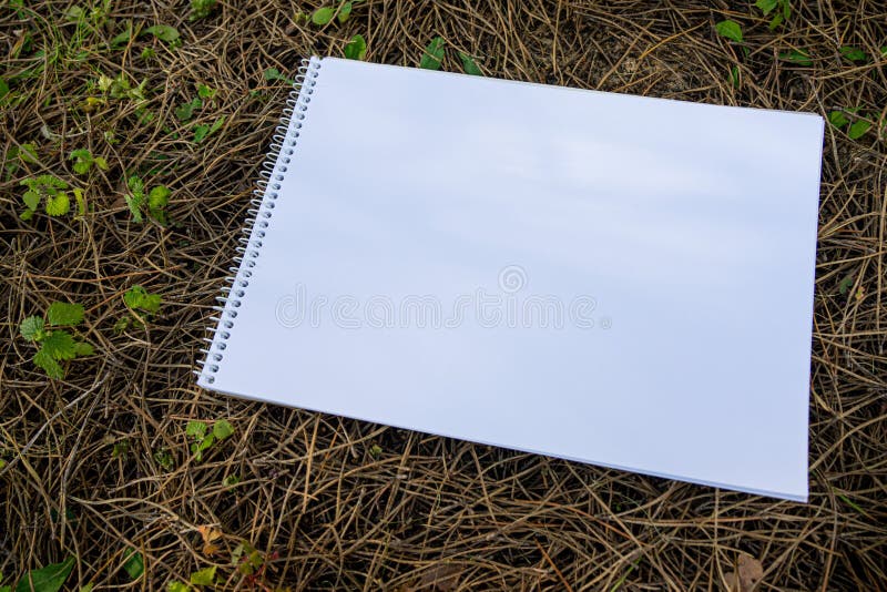 Horizontal Notes Mockup in Forest Stock Photo - Image of book, pattern ...
