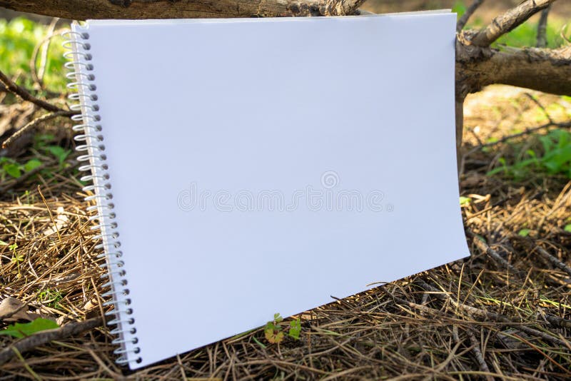 Horizontal Notes Mockup in Forest Stock Photo - Image of book, pattern ...