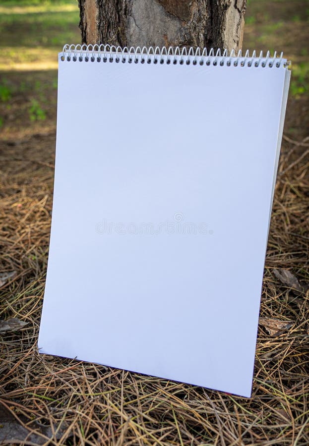 Vertical Notes Mockup in Forest Stock Illustration - Illustration of ...