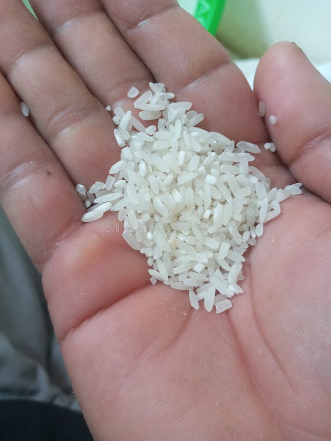 Clean White Rice in the Palm of the Hand Stock Image - Image of clean ...