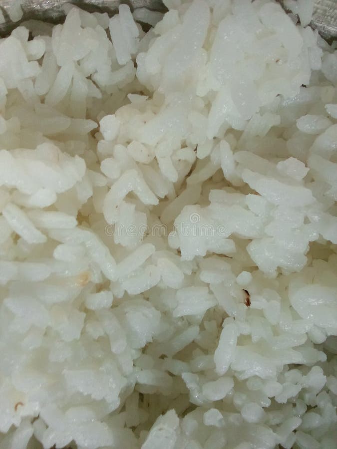 Clean White Rice on Top Camera Stock Photo - Image of white, rice ...