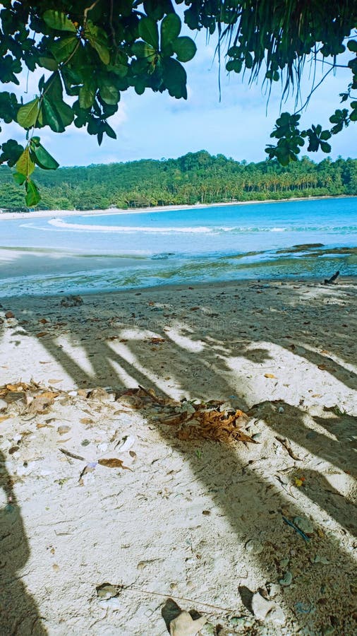 Clean white sand beach stock photo. Image of water, cape - 269078780