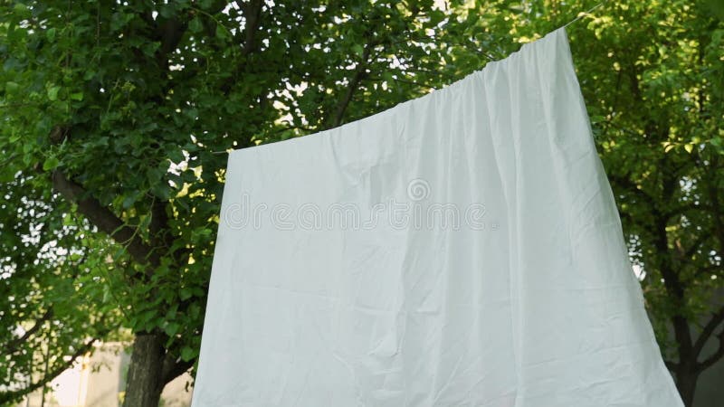 Clean White Sheet is Hanging on a Clothesline in the Backyard. Laundry ...